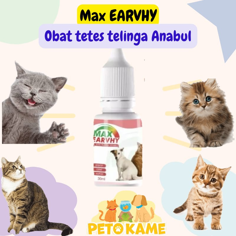 Jual MAX EARVHY 30 ml | Obat Tetes Telinga Untuk Kutu di Kucing dan ...