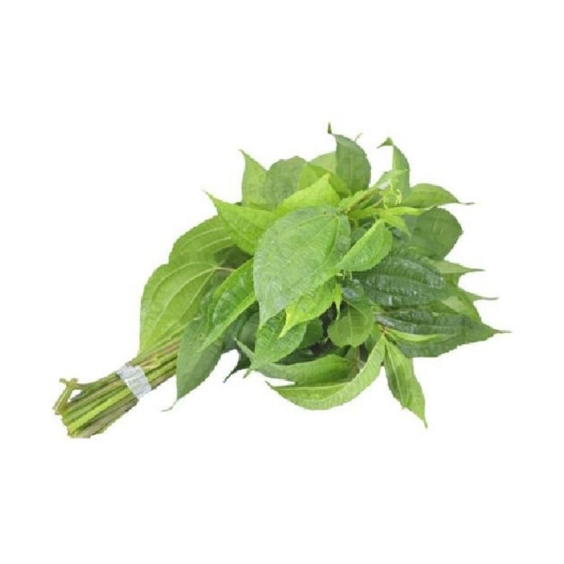 Jual Lalapan Daun pohpohan / daun poh pohan 100-500gram (daun muda ...