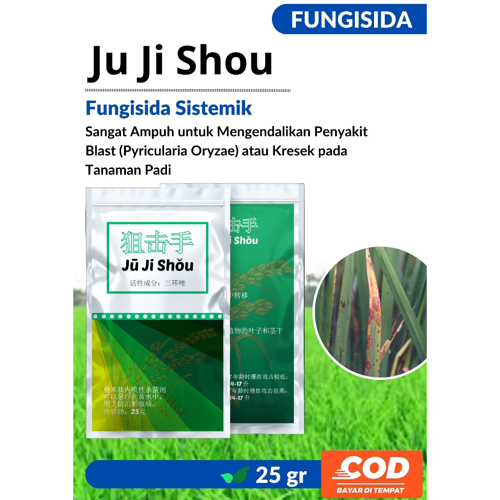 Jual Atasi BLAS Pada Tanaman Padi Fungisida Ju Ji Shou | Shopee Indonesia