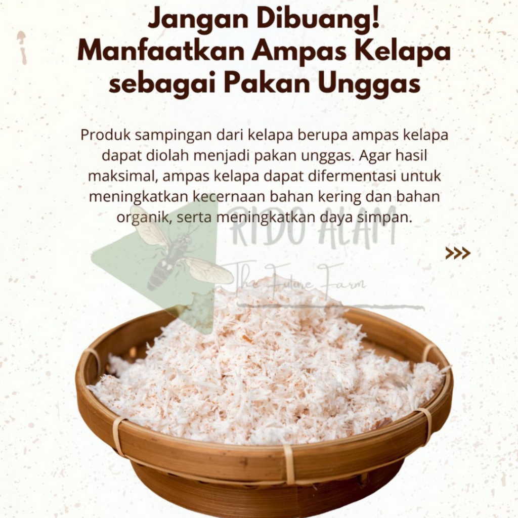 Jual Ampas kelapa Fresh untuk pakan ternak Pakan unggas Media Pakan ...