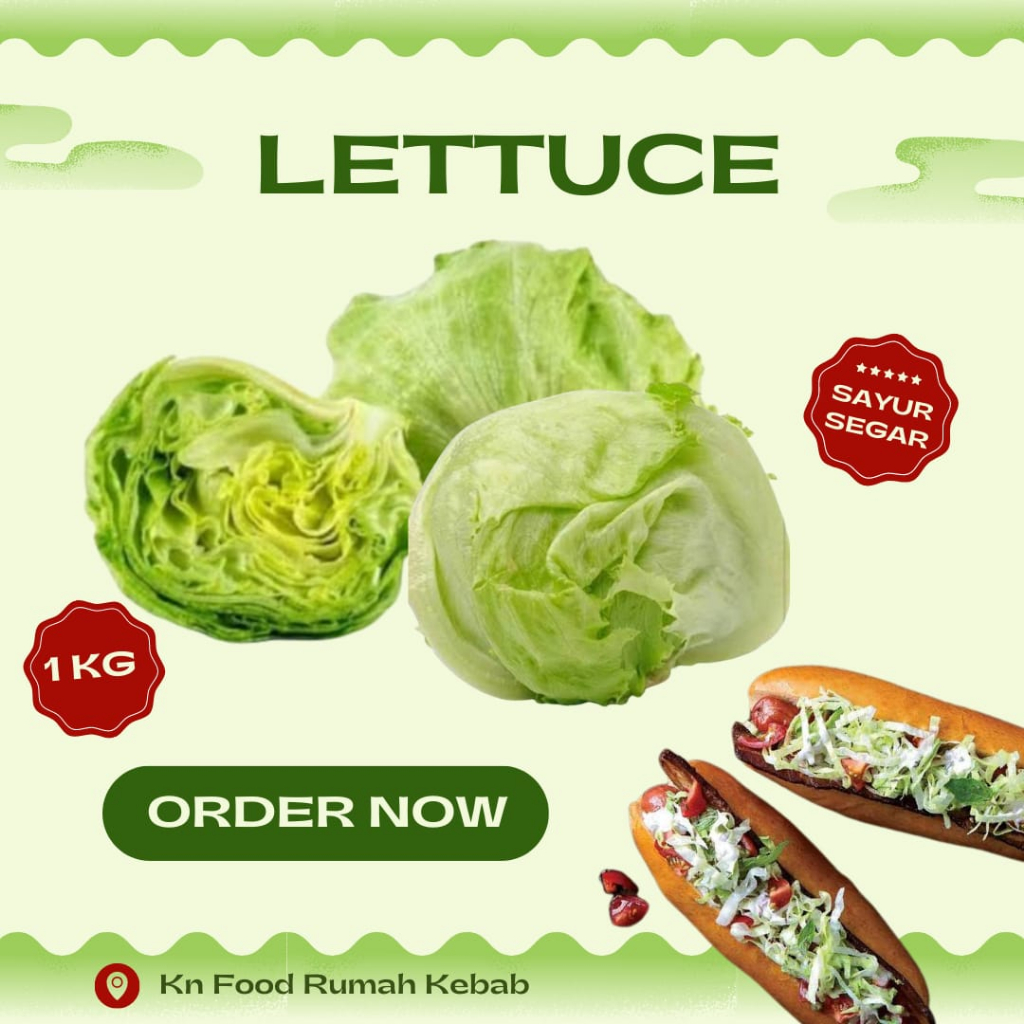 Jual Letuce sayuran letus Lettuce sayur kebab salad Lotus 1kg Sayur ...
