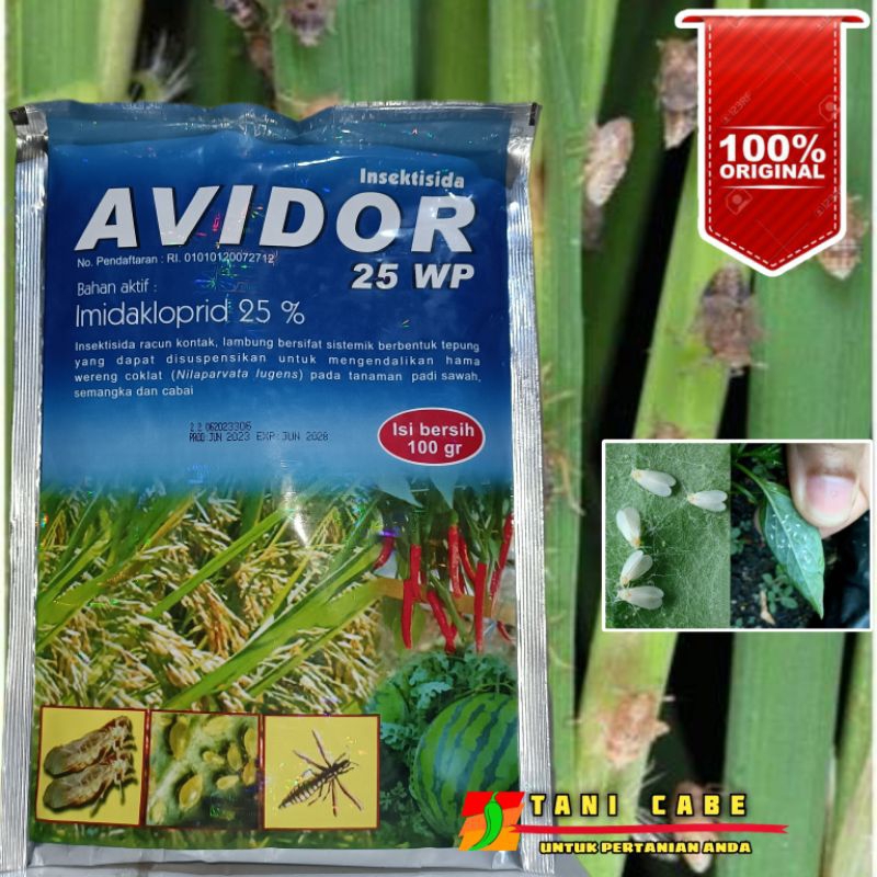 Jual INSEKTISIDA AVIDOR 25 WP -HAMA KUTU PUTIH 100 GRM | Shopee Indonesia