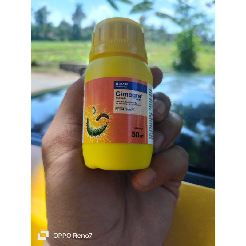 Jual insektisida Cimegra 50 ml | Shopee Indonesia