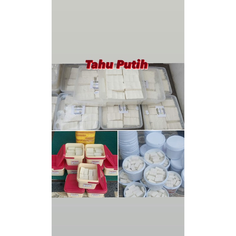 Jual Tahu putih 50 pcs | Shopee Indonesia