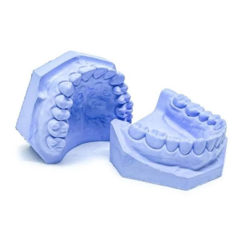 Jual Model Studi Gigi Gipsum (Dental Study Model) | Shopee Indonesia