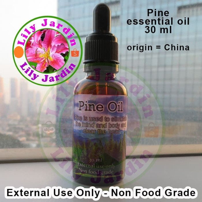 Jual Pine Essential Oil / Pinus / Cemara Minyak Aromatherapy - 250 ml ...