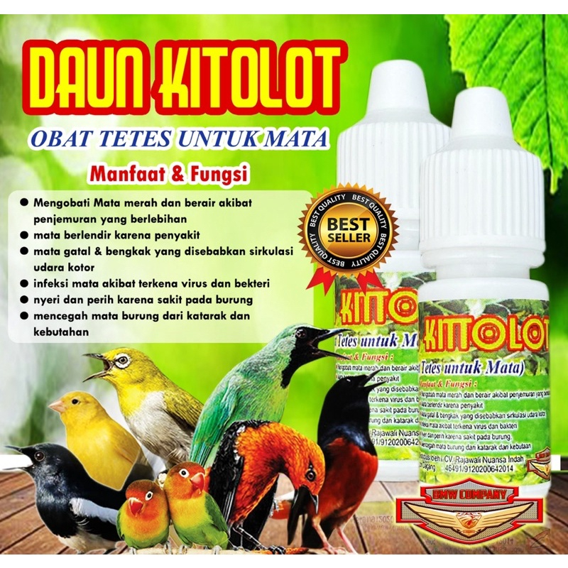 Jual DAUN KITOLOT 5 ML OBAT MATA SEMUA BURUNG Obat Tetes ampuh untuk ...