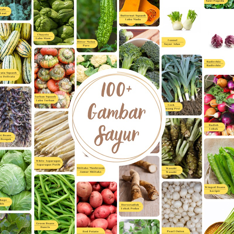 Jual Printable Flash Card Sayur 100+ Gambar Sayur | Shopee Indonesia