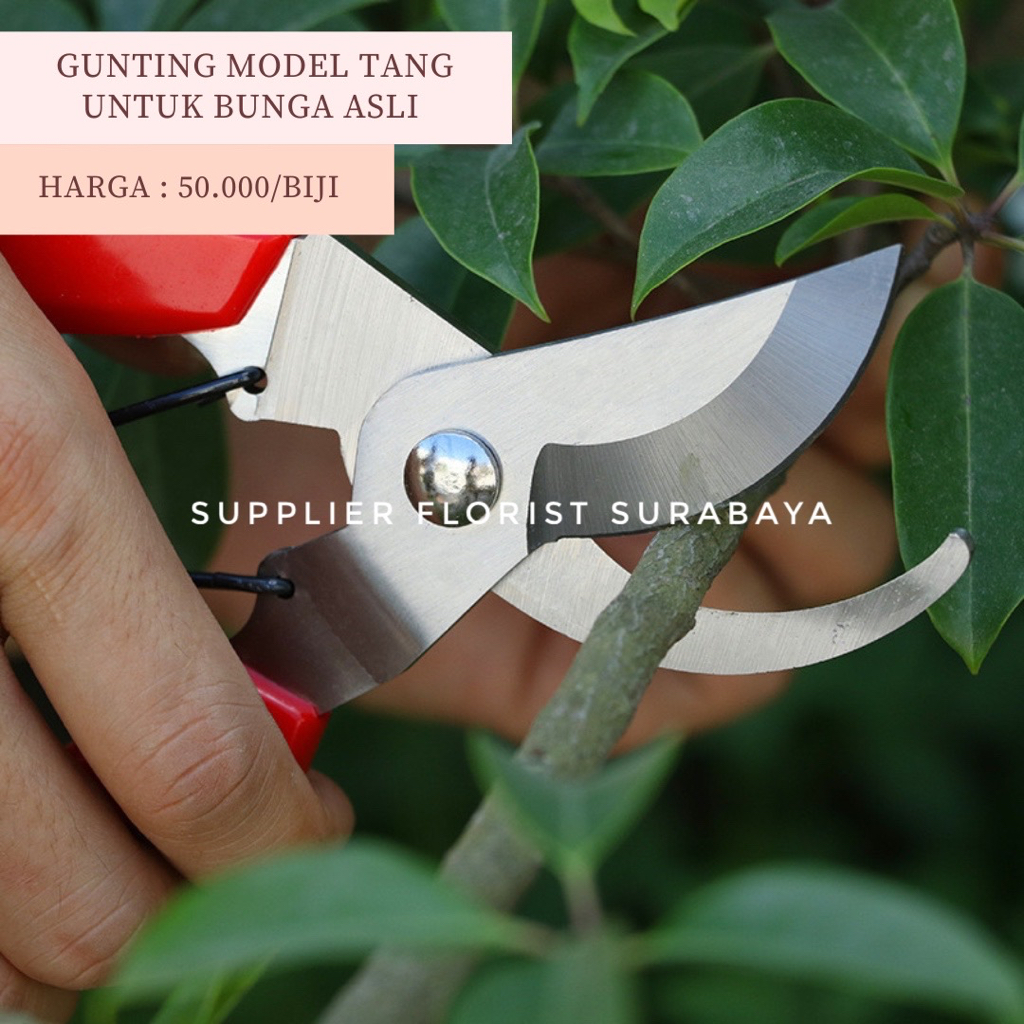 Jual TANG GUNTING DAHAN POHON BATANG BUNGA ASLI PERLENGKAPAN PERKEBUNAN ...