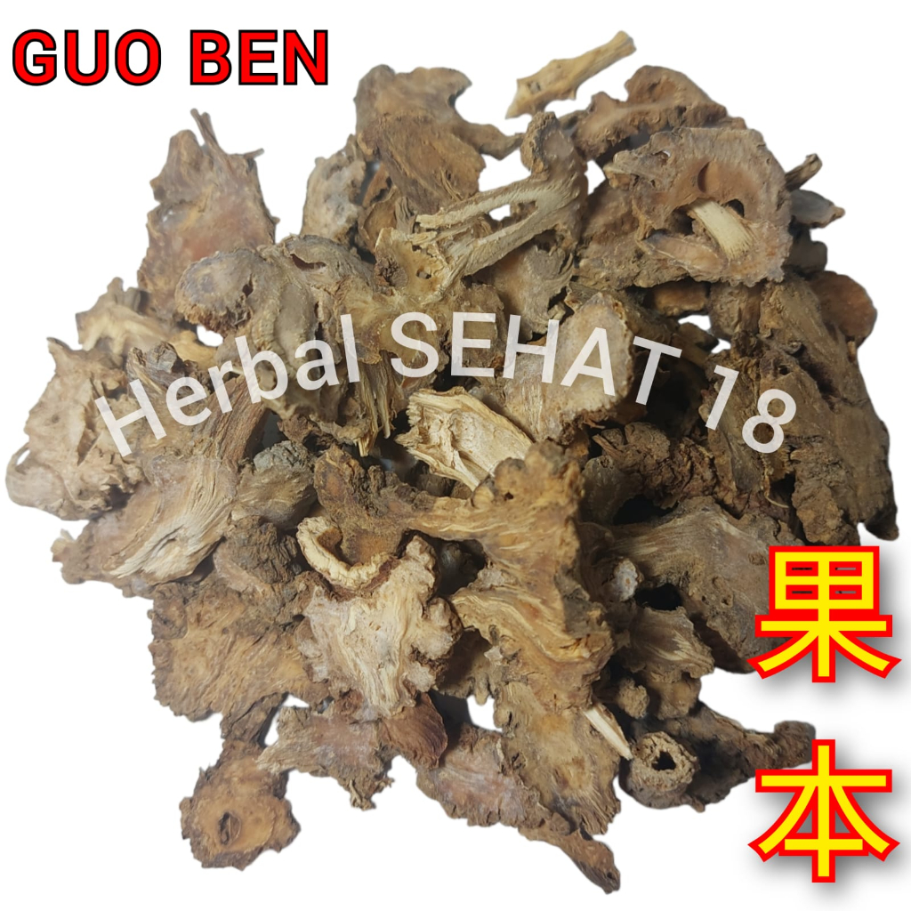 Jual Gao Ben / Guo Ben 100 gram 藁本 / 果本 Straw Weed / Rhizoma Ligustici ...