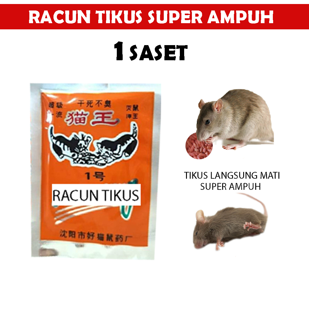 Jual 1 PCS Racun Tikus Super Ampuh Mati Di Tempat Anti Pembasmi Tikus ...