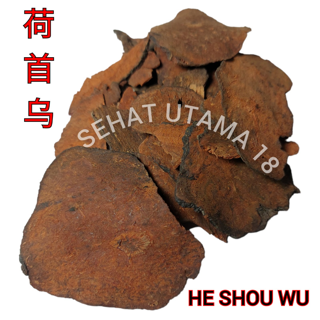 Jual 50 gram - Grade A / He Shou Wu - Shou Bu - Radix Polygoni ...
