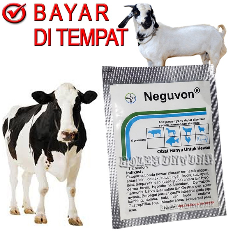 Jual Neguvon Bayer Original Membasmi Kutu Tungau Pada Hewan Ternak ...
