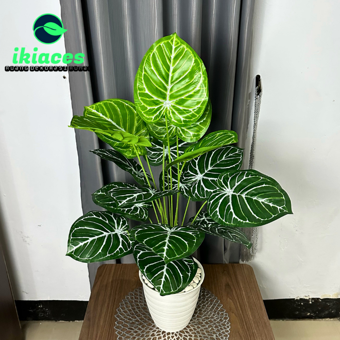 Jual DAUN AGLONEMA ARTIFISIAL POHON MONSTERA PLASTIK BUNGA POT HIAS ...