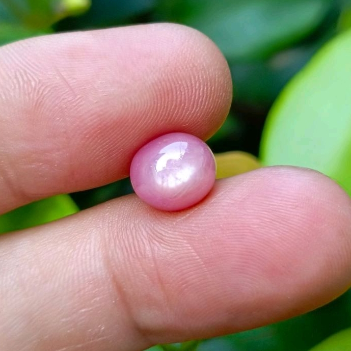 Jual Batu Permata Natural STAR RUBY + Memo (5,15ct) | Shopee Indonesia