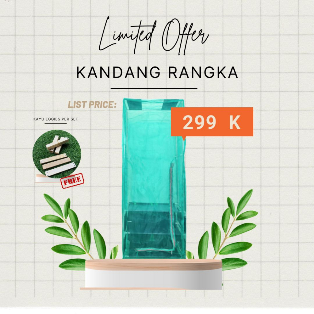 Jual Kandang BSF Rangka Magobox Budidaya Lalat Black Soldier Fly Free ...