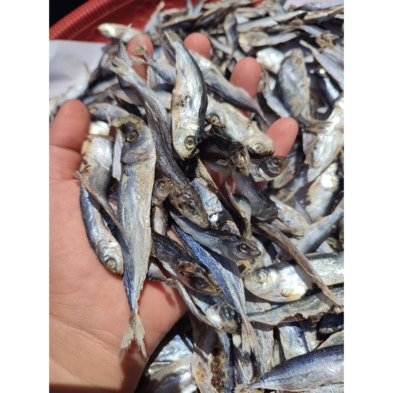 Jual Ikan tamban (maco) tamban kering lauak suaso (250 gr) | Shopee ...