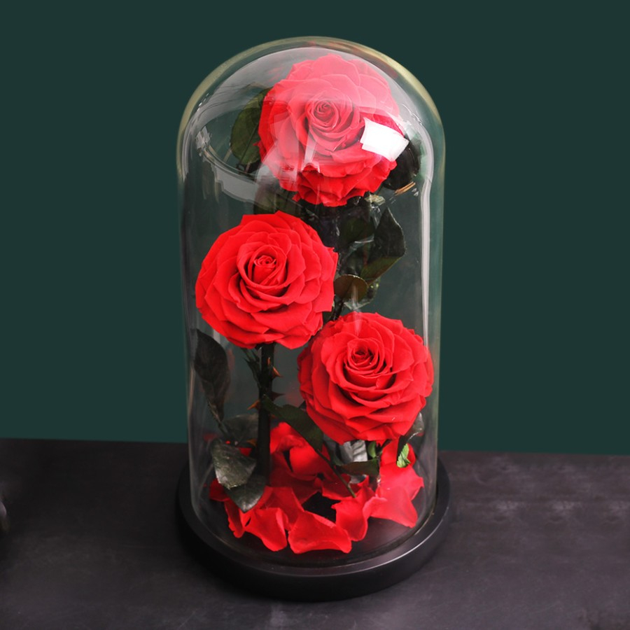 Jual bunga mawar abadi preserved flower rose glass dome 3 gift home ...