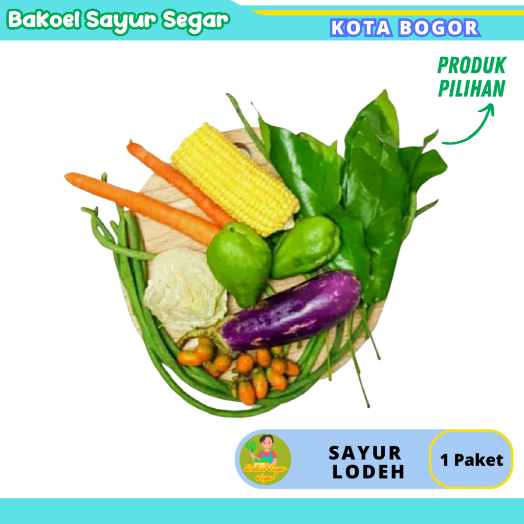 Jual Sayur Lodeh 1 Paket Sayuran Sehat Fresh Segar Setiap Hari Kota ...