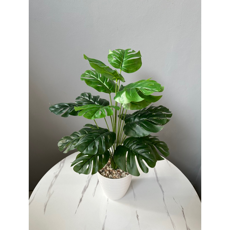 Jual (SUDAH+POT)RANGKAIAN MONSTERA HIJAU KECIL K18 PALSU POT 15CM ...