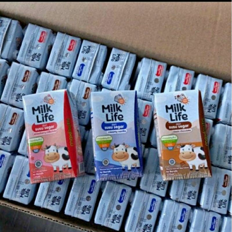 Jual Milk Life Susu UHT Classic Chocolate 45 x 115 ml | Shopee Indonesia