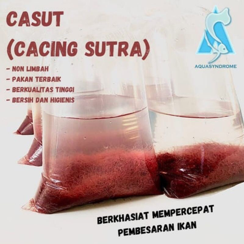 Jual KHUSUS INSTAN & SAMDAY ( CACING SUTRA/CASUT ) | Shopee Indonesia