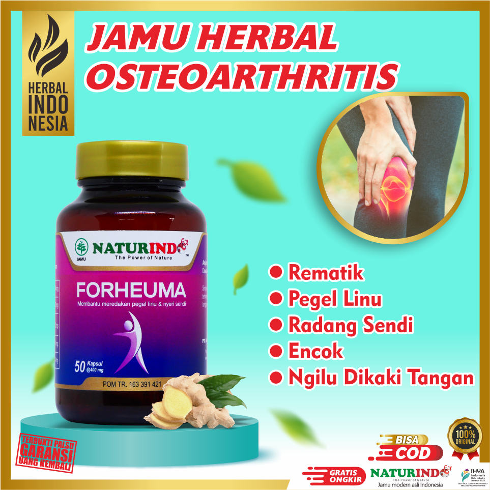 Jual Obat Nyeri Sendi Lutut Pengapuran Osteoarthritis Gangguan ...