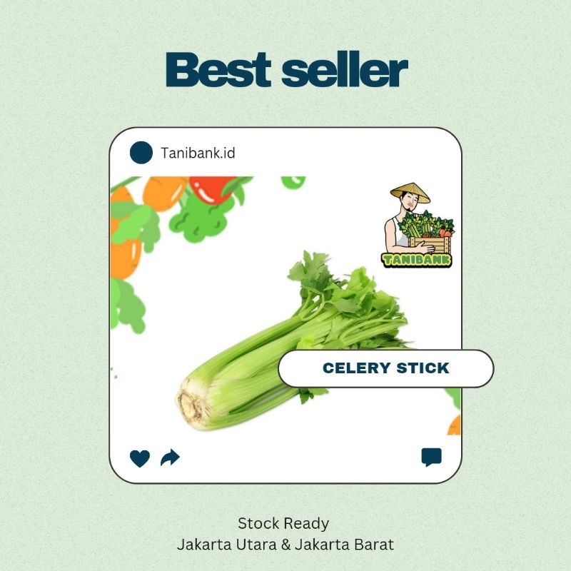 Jual Celery Stick Import 10kg | Shopee Indonesia