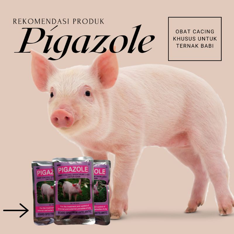 Jual OBAT CACING BABI PIGAZOLE OBAT CACING KHUSUS TERNAK BABI | Shopee ...