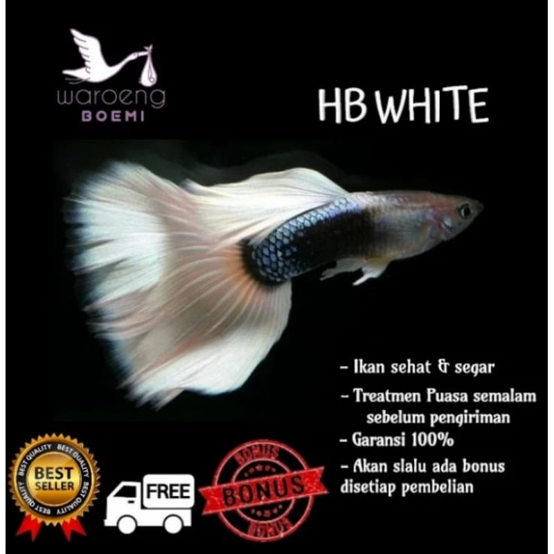 Jual Packing styrofoam ikan guppy hb white | Shopee Indonesia