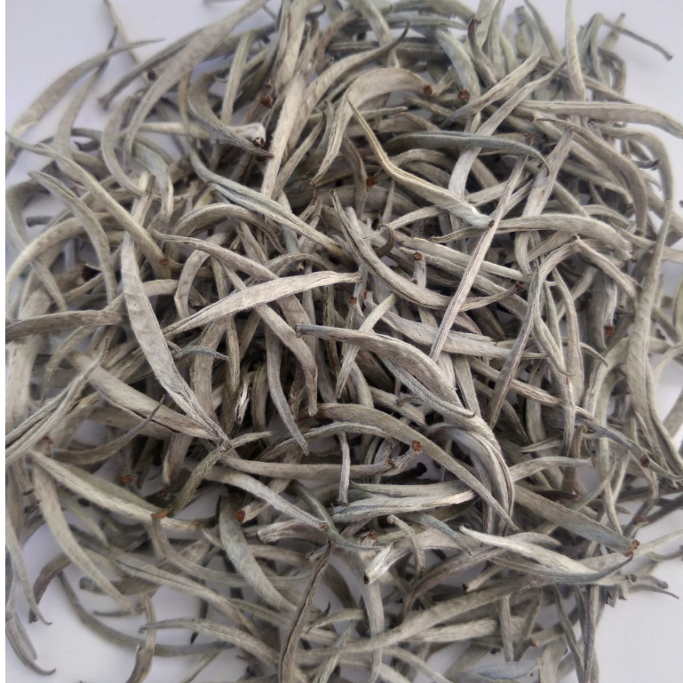 Jual Teh Putih Premium White Tea Silver Needle 25 gram | Shopee Indonesia