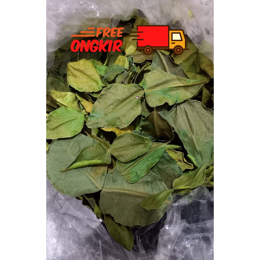 Jual Daun Jeruk Kering Utuh / Daun Jeruk Kering / Daun Jeruk Purut ...