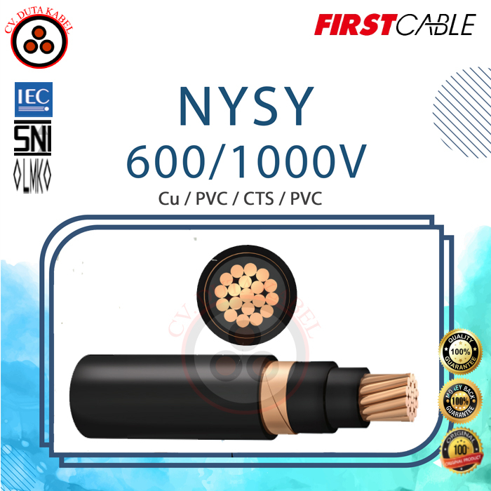 Jual Kabel NYSY 1x10 mm2 FIRST CABLE (Cu/PVC/CTS/PVC) 1kV | Shopee ...
