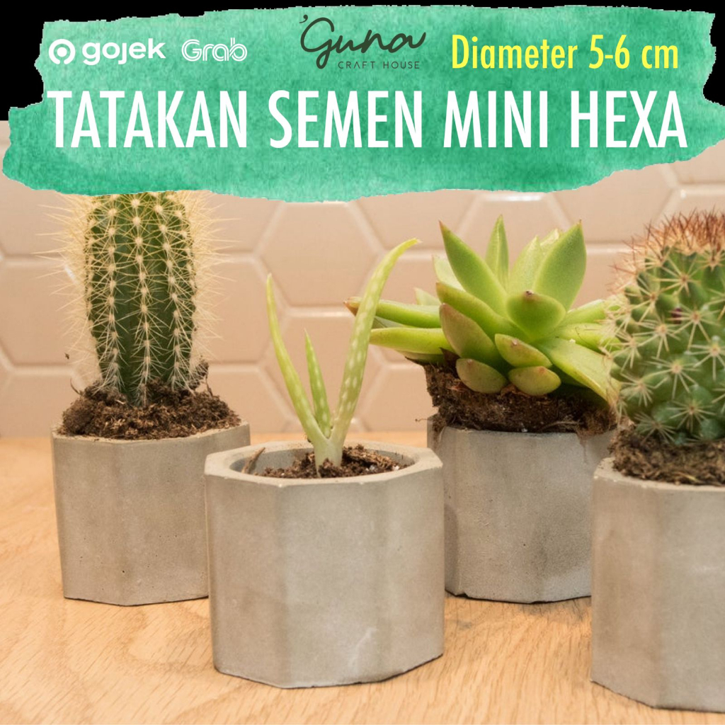 Jual Preorder Pot Semen Mini Hexagon Segi Enam | Shopee Indonesia
