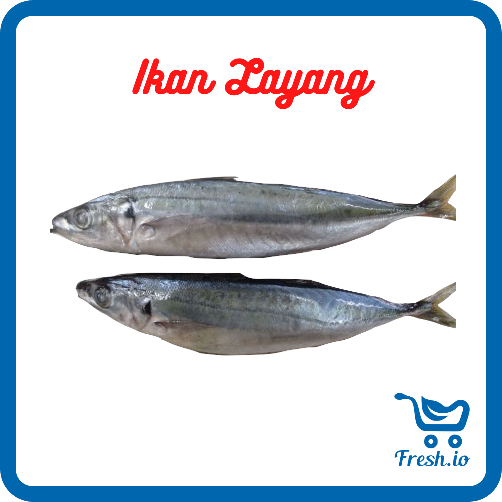 Jual Ikan Layang | Shopee Indonesia