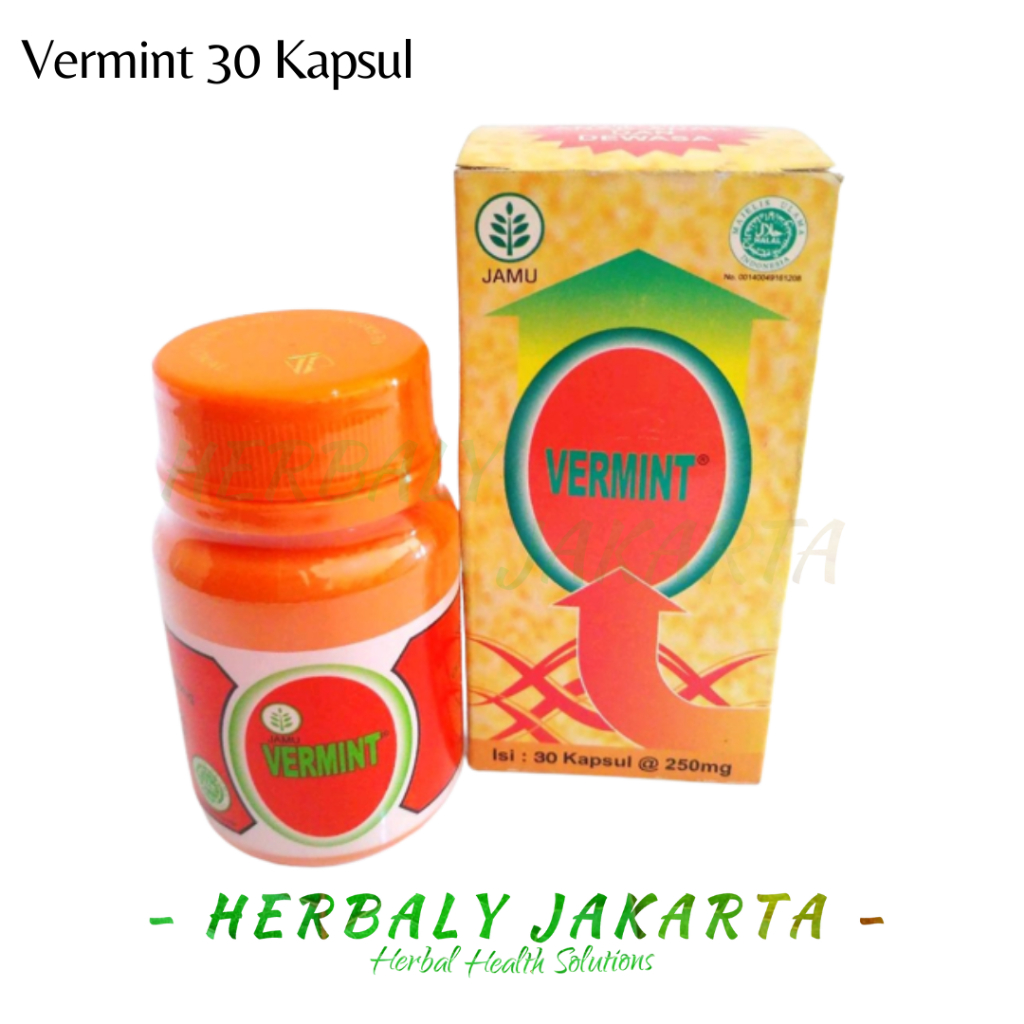 Jual Vermint | Vermin | Obat Penyakit Tifus / Tipes / Typus 30 Kapsul ...