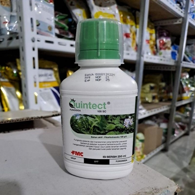 Jual QUINTECT 250ML FUNGISIDA OBAT PEMBASMI HAWAR DAUN TANAMAN | Shopee ...