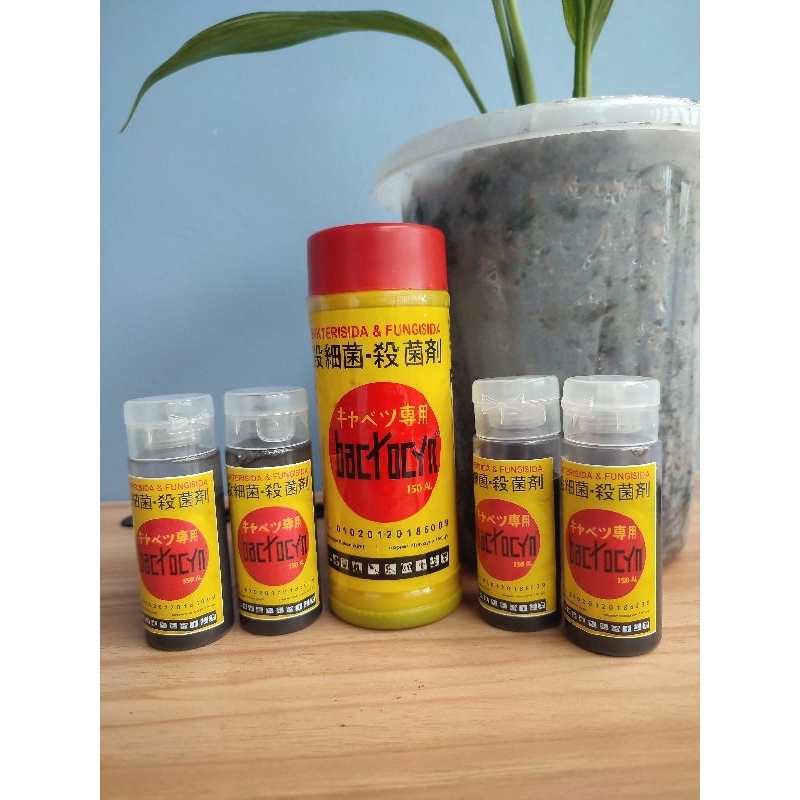 Jual BACTOCYN 150 AL BAKTERISIDA FUNGISIDA KEMASAN 25 ML | Shopee Indonesia