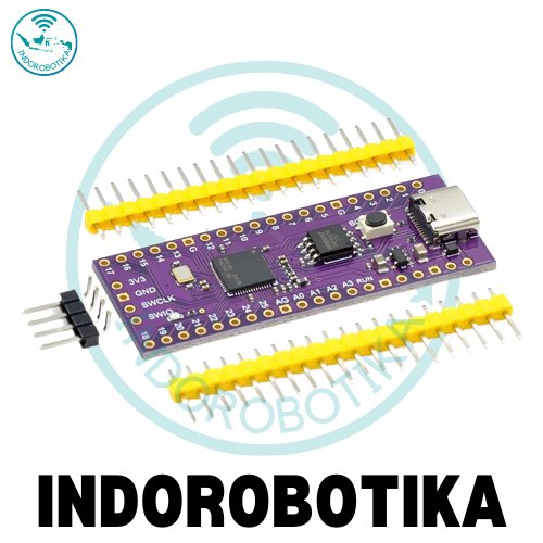 Jual raspberry pi pico rp2040 type-c 16mb purple | Shopee Indonesia