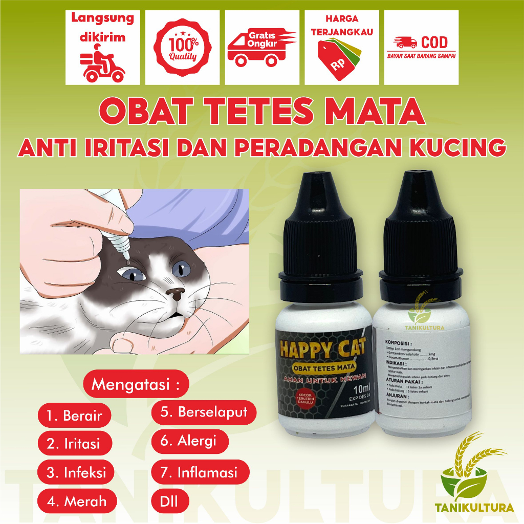 Jual Obat Tetes Mata Hidung Kucing Cat Kitten Anti Infeksi Iritasi Mata ...