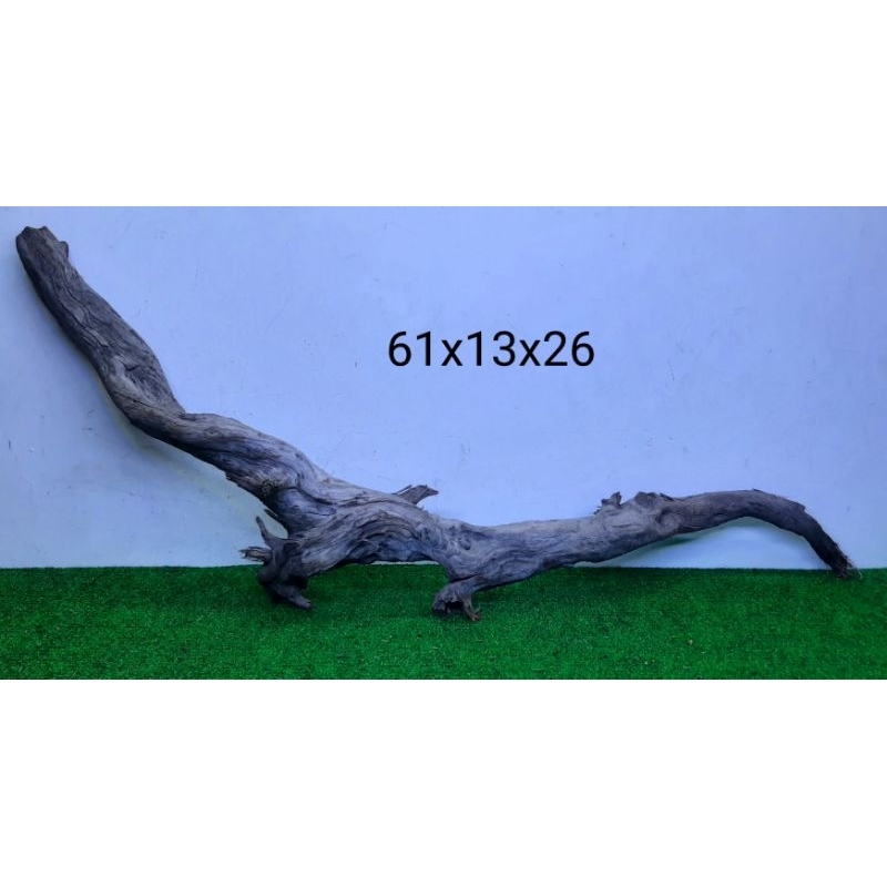 Jual Kayu Santigi Laut - Kayu Tenggelam - Aquascape - Channa - 61x13x26 ...