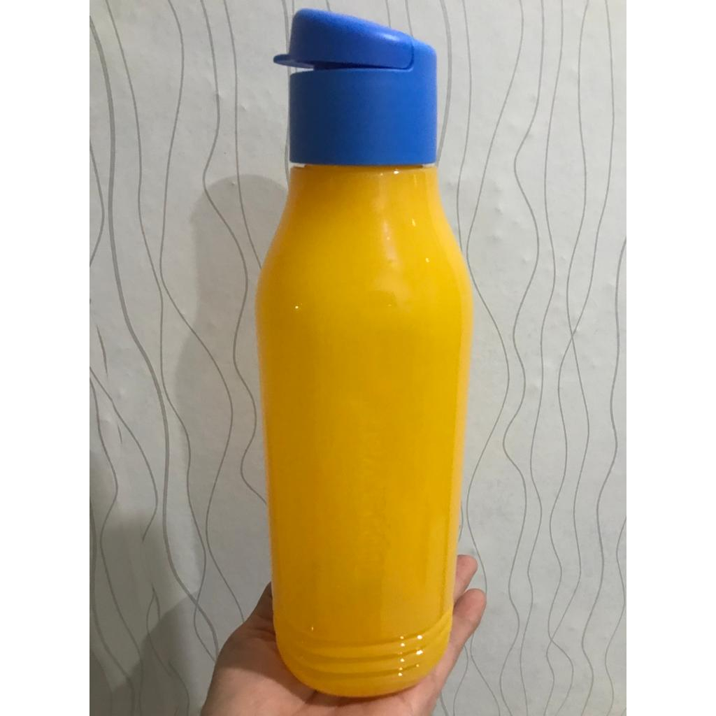 Jual Botol Minum Eco 750ml segitiga | Shopee Indonesia