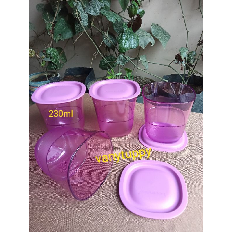 Jual gelas minum crystalline low 230ml gelas kristal ungu Tupperware ( 4 ) | Shopee Indonesia
