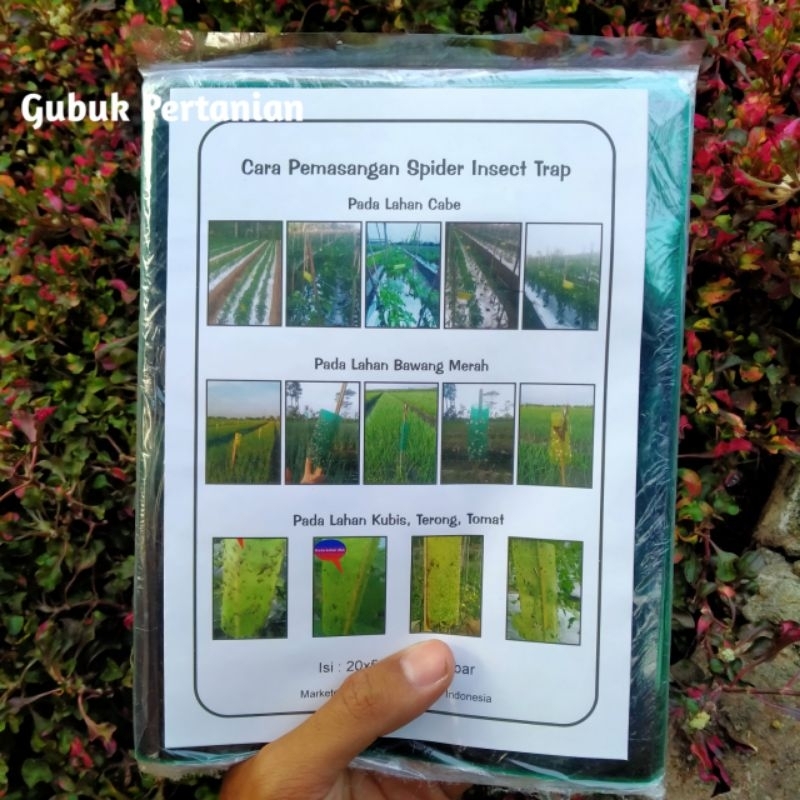 Jual SPIDER INSECT TRAP GREEN Perekat Atau Perangkap Hama Tanaman Isi ...