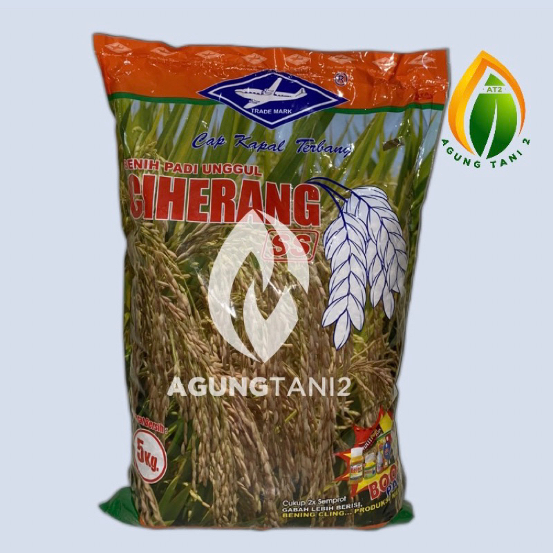 Jual BENIH PADI CIHERANG SS 5KG CAP KAPAL TERBANG | Shopee Indonesia