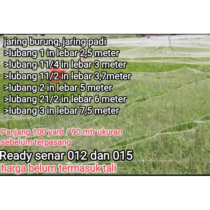 Jual jaring burung, jaring padi, jaring pengaman padi, ukuran lengakap ...