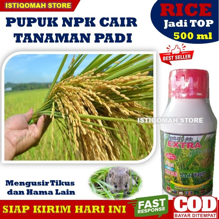 Jual Pupuk untuk Padi Penambah Bobot Padi Ampuh - Pupuk NPK Cair RICE JADI TOP 500ML (RICETOP ...