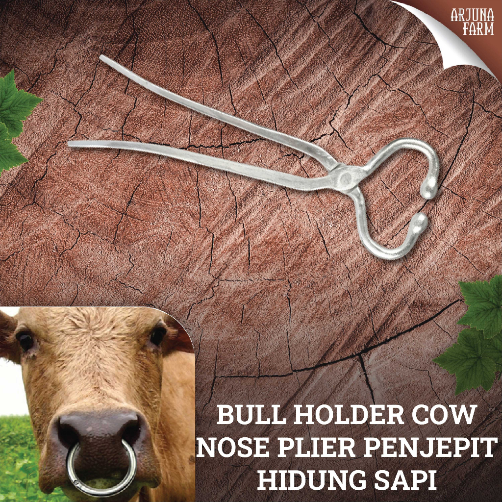 Jual Tang Penjepit Hidung Sapi Kerbau Lembu Stanless Steel Cattle nose ...