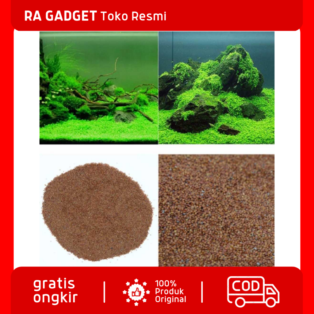 Jual Bibit Rumput Air Dekorasi Air Carpet Seed Aquarium Landscape ...
