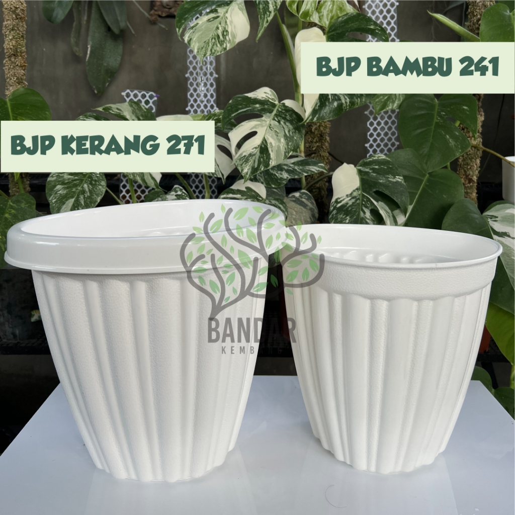 Jual BJP Pot Kerang dan Bambu Bunga Tanaman Hias Tinggi Pot Plastik ...